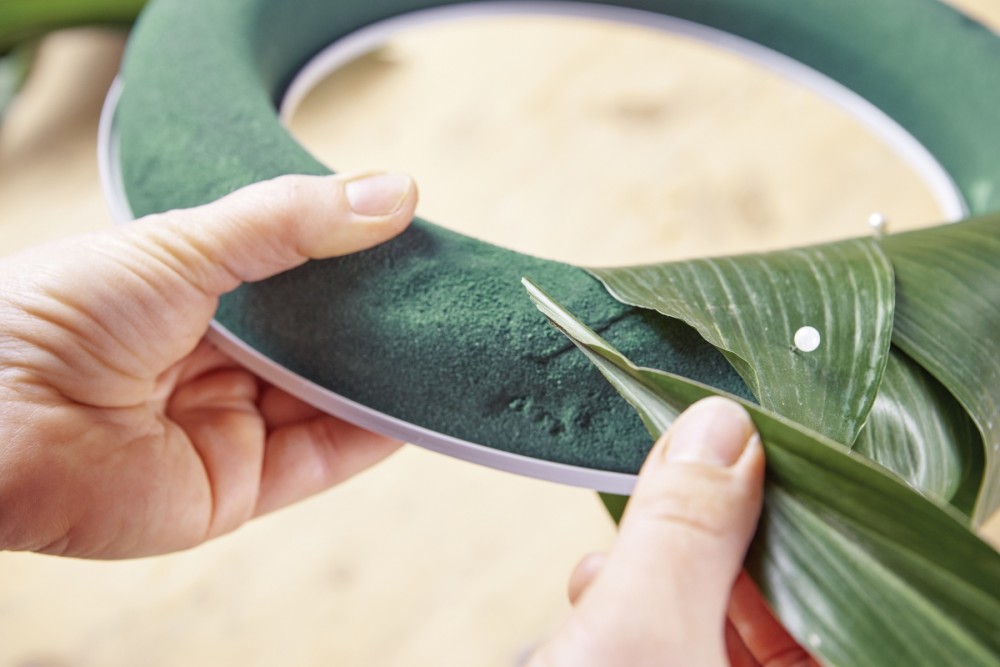 OASIS® IDEAL Solo Ring - OASIS® Floral Products